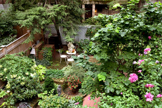 Periodontist Practice | Manhattan, NY | Perio NYC | Dr. Susan Karabin