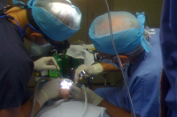 Tribute to Dr. Tannenbaum | Manhattan, NY | PerioNYC | Dr. Susan Karabin